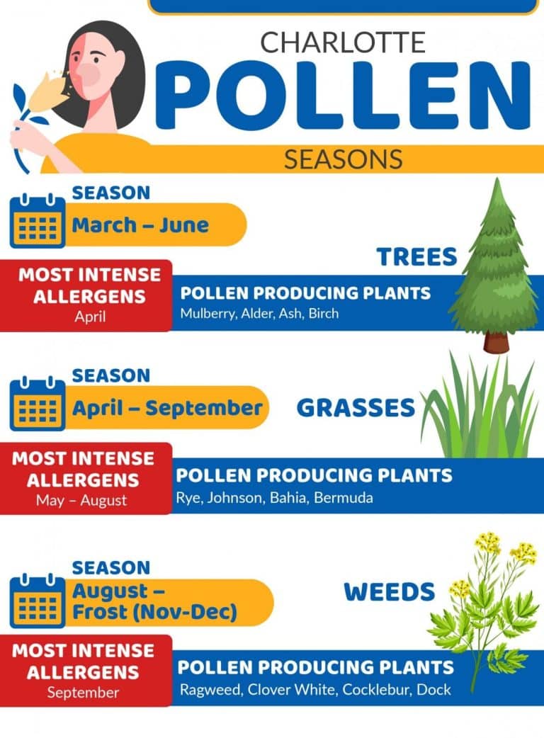 When Does Pollen Season End in Charlotte, NC? | CAAC