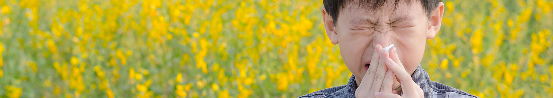 Charlotte Pollen & Mold Count: Allergy & Asthma | CAAC